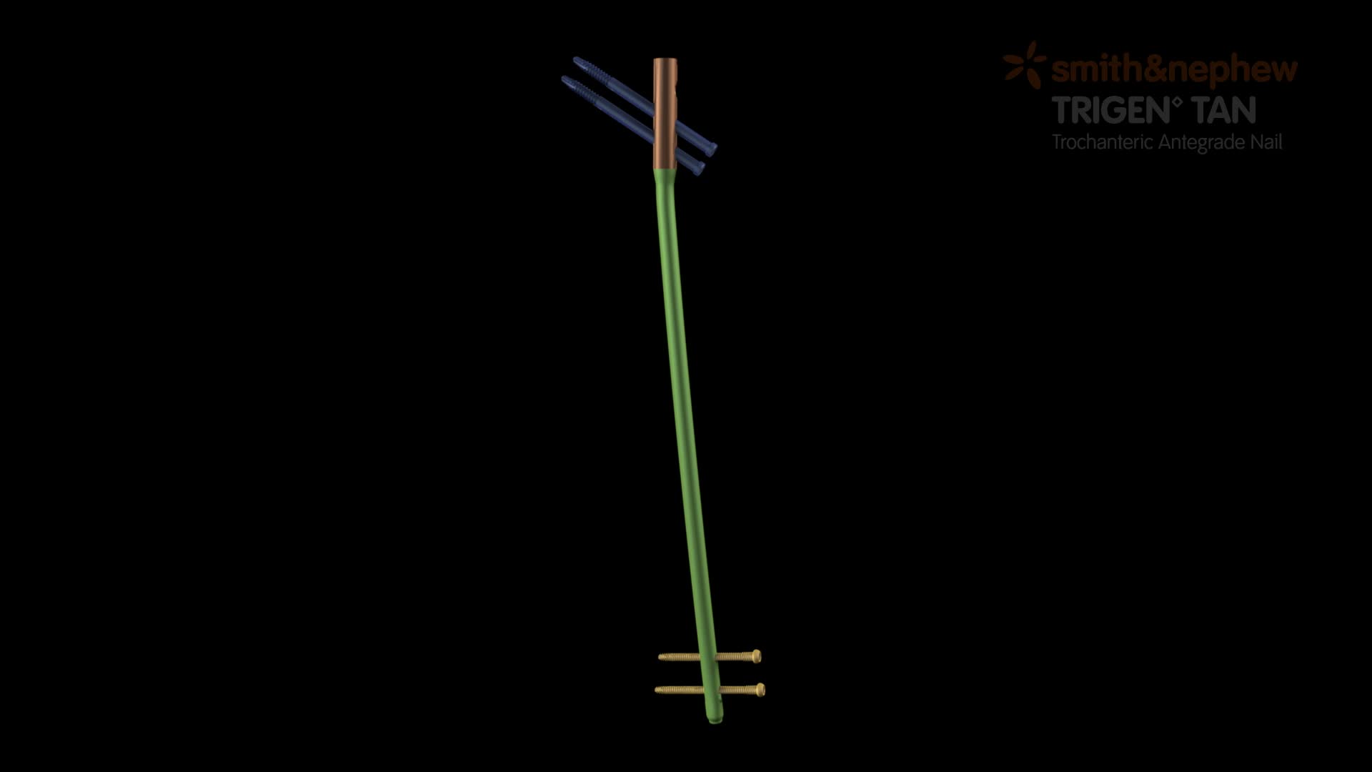 Smith Nephew Femoral Nail
