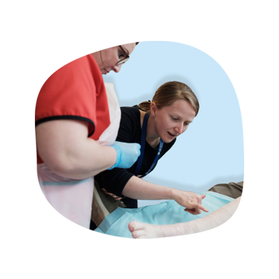 TIME Clinical Decision Support Tool (CDST) | Smith+Nephew Australia