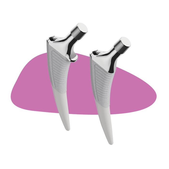 CATALYSTEM Primary Hip System for total hip arthroplasty