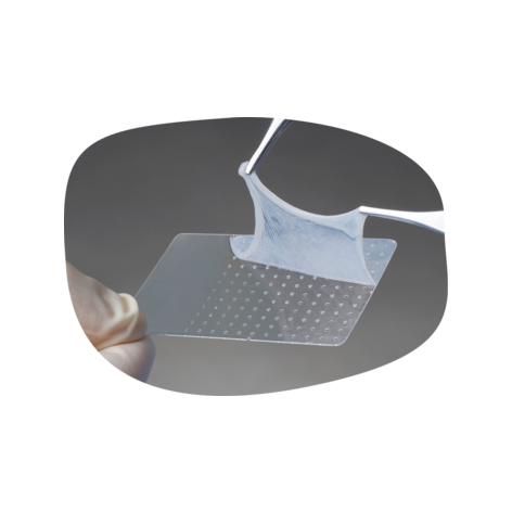 GRAFIX Placental Membranes | Smith+Nephew USA